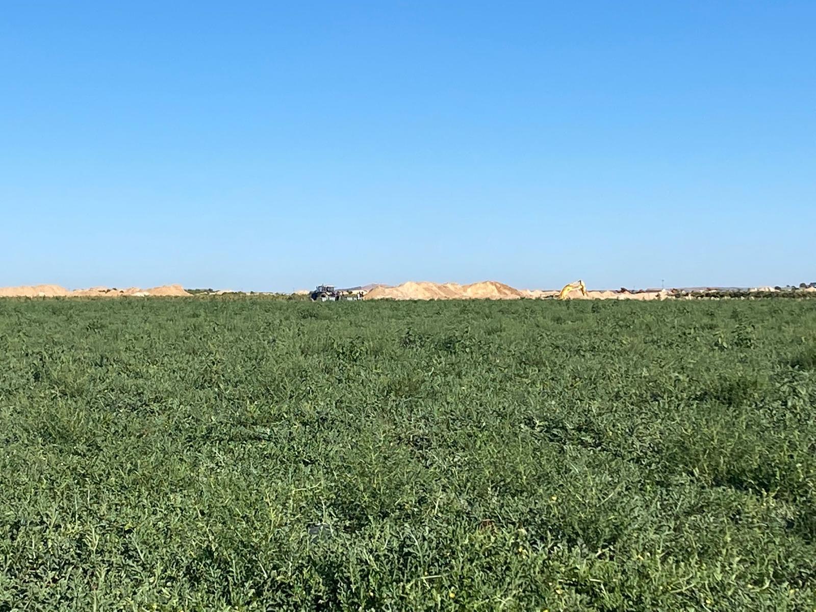 Sobre nosotros :: albasolfruit