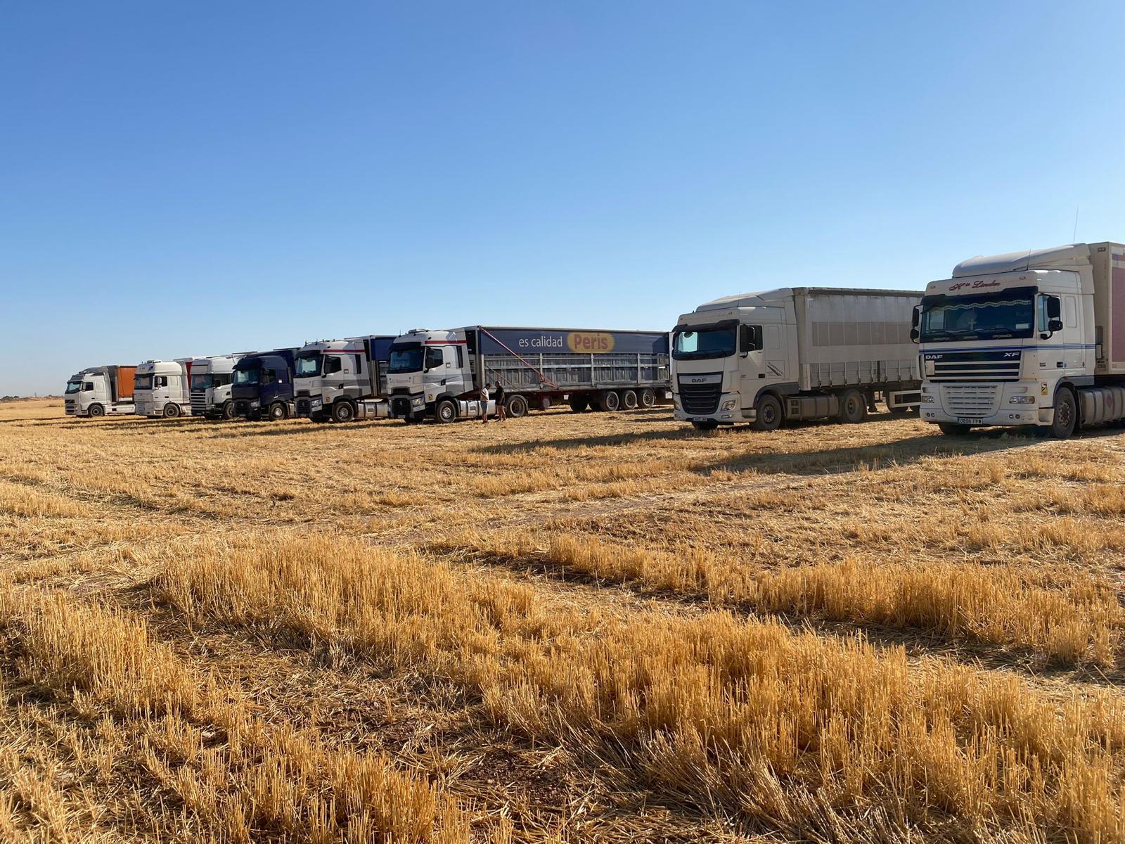 Sobre nosotros :: albasolfruit