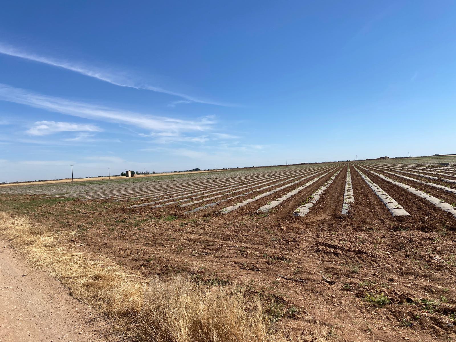 Sobre nosotros :: albasolfruit